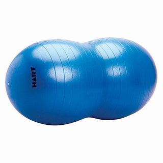 Swiss Balls & Accessories