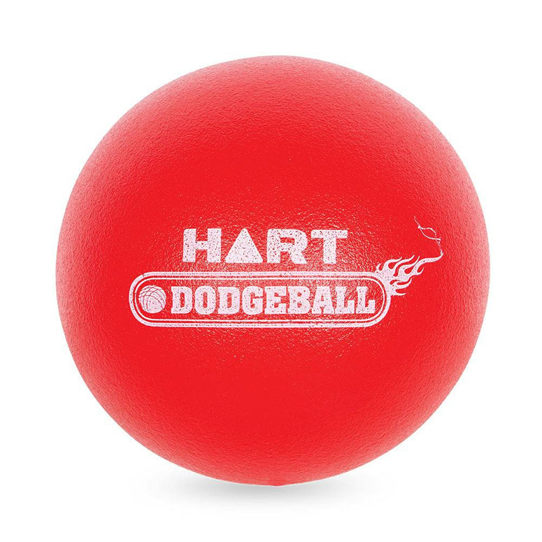 Dodgeballs & Foam Flyers: Non-Sting Balls for All Ages