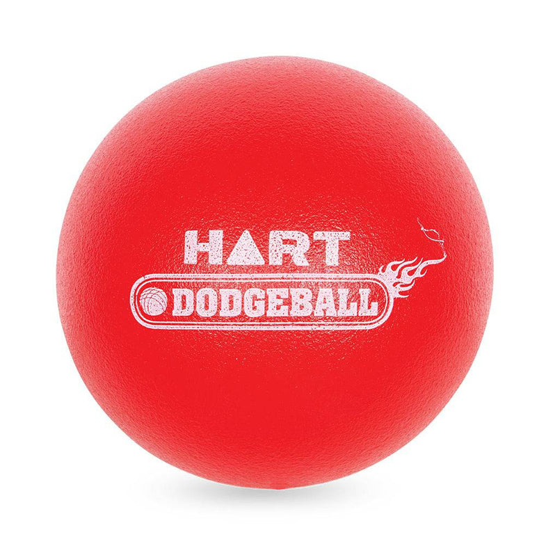 Dodgeballs & Foam Flyers: Non-Sting Balls for All Ages