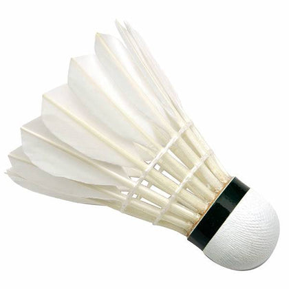 Badminton | HART Sport